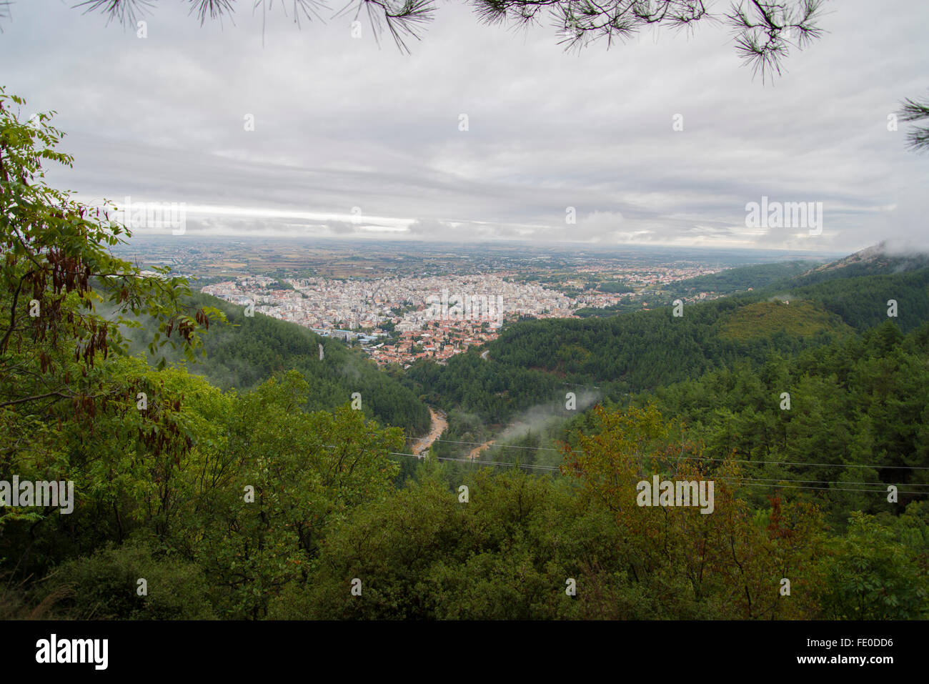 Fall colors in afternoon fog, Xanthi Stock Photo - Alamy