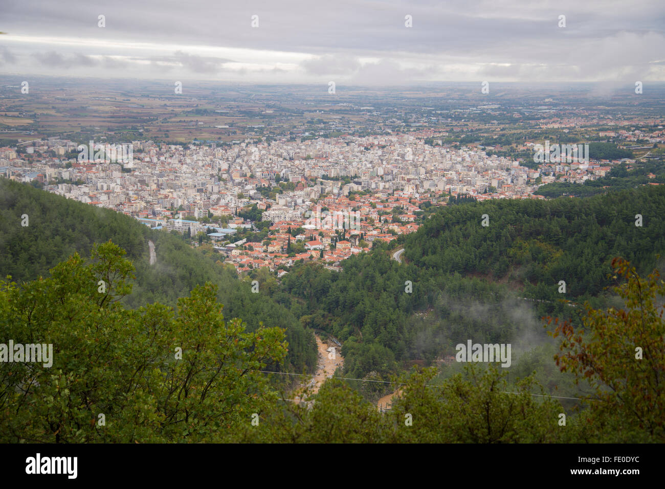Fall colors in afternoon fog, Xanthi Stock Photo - Alamy