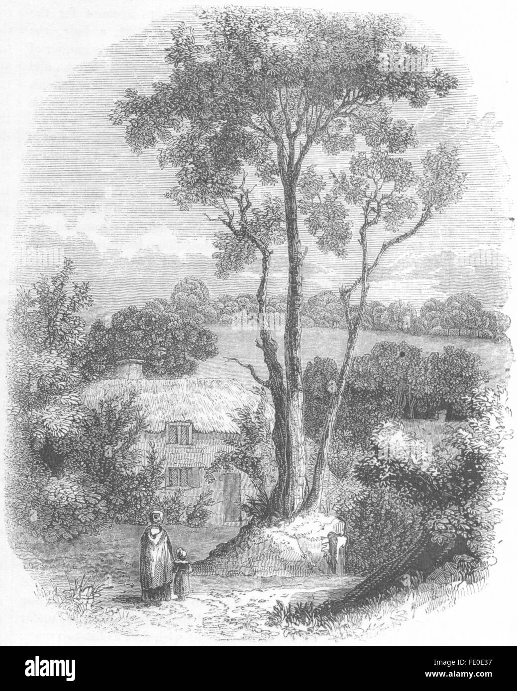 CORNWALL: Well of St Keyne, Cornwall, antique print 1845 Stock Photo ...