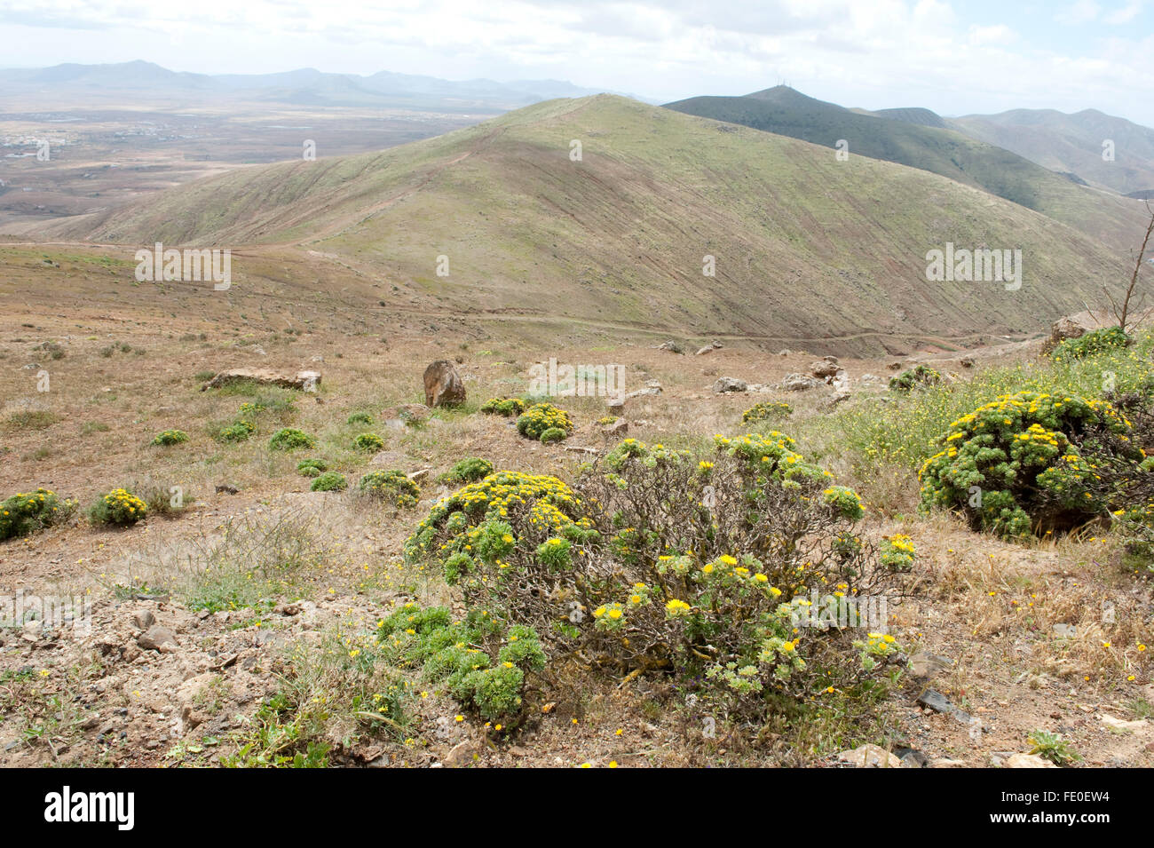 Mirador de Morro Velosa, Fuerteventura, Spain Stock Photo - Alamy