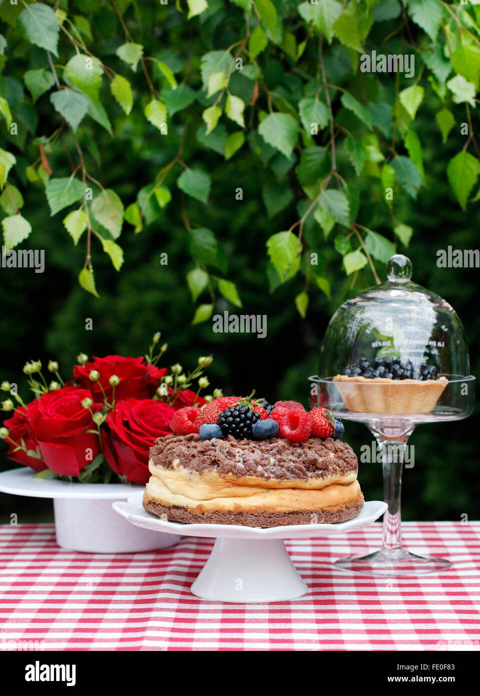 Cheesecake with various fruits at the garden party Stock Photo - Alamy