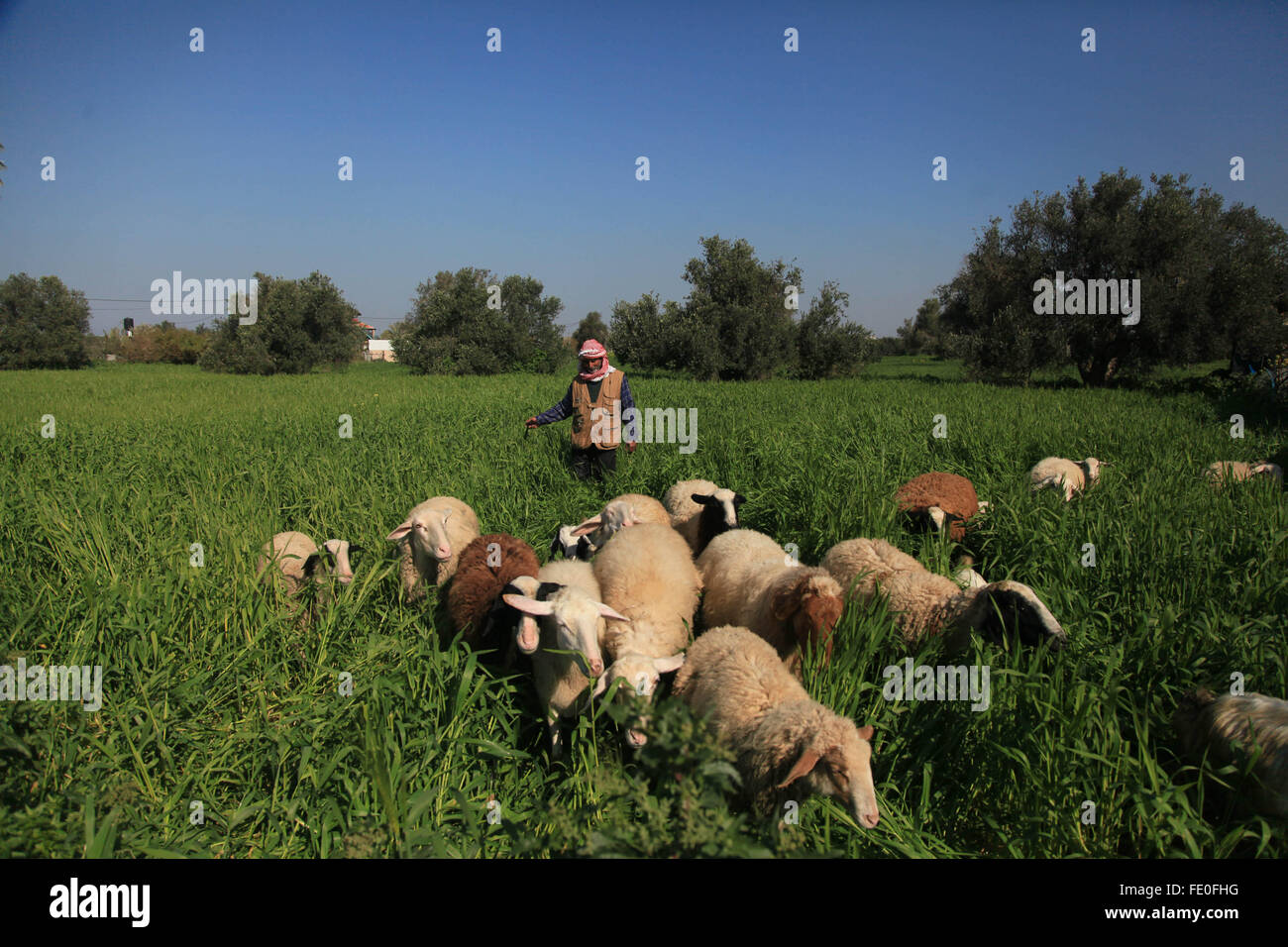 Gaza poverty hi-res stock photography and images - Alamy