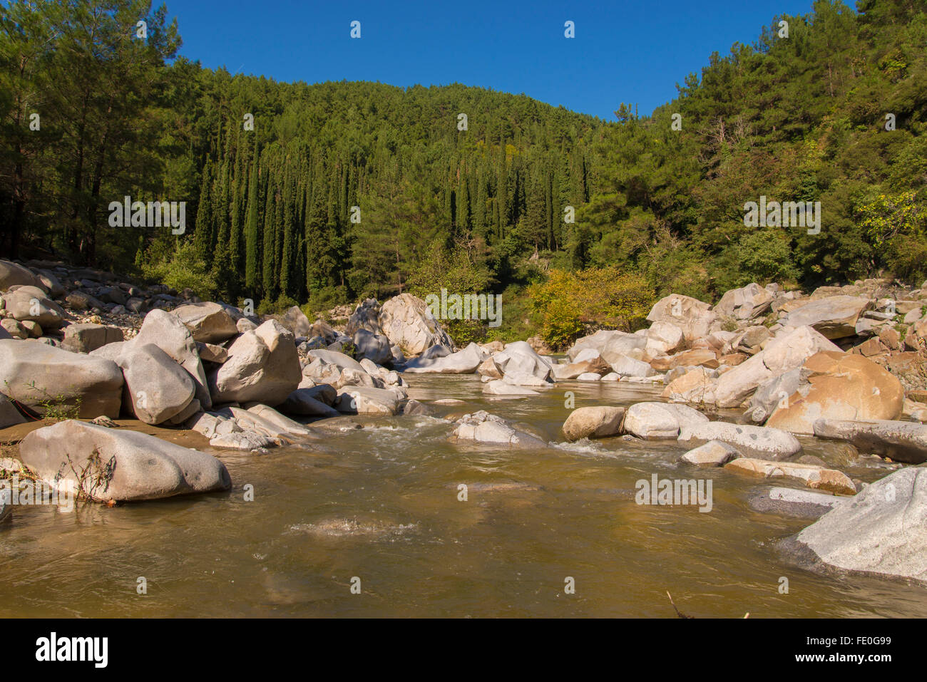 Forest river with rocks Stock Photo - Alamy
