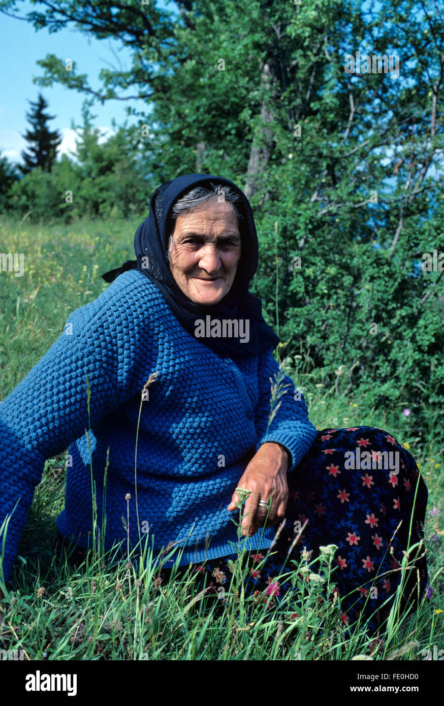 Portrait of Old or elderly Turkish Peasant Woman Wearing Peasant Scarf ...