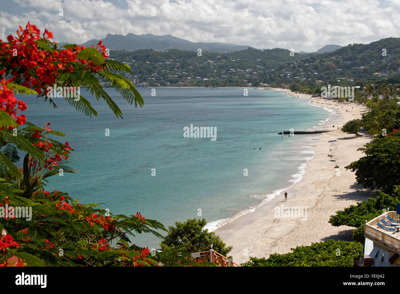 St georges grenada hi-res stock photography and images - Alamy