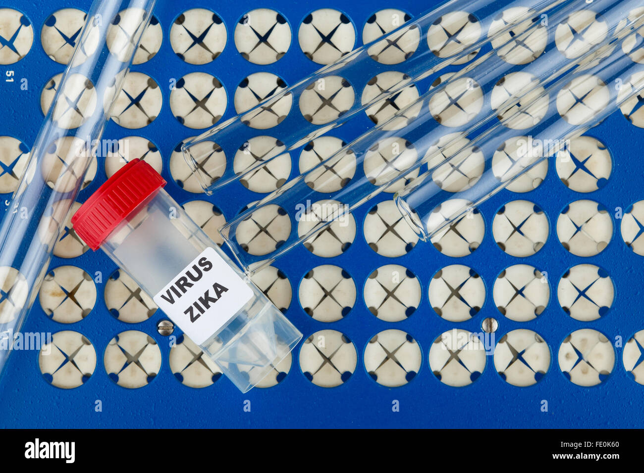 Zika virus concept photo with test tube Stock Photo - Alamy