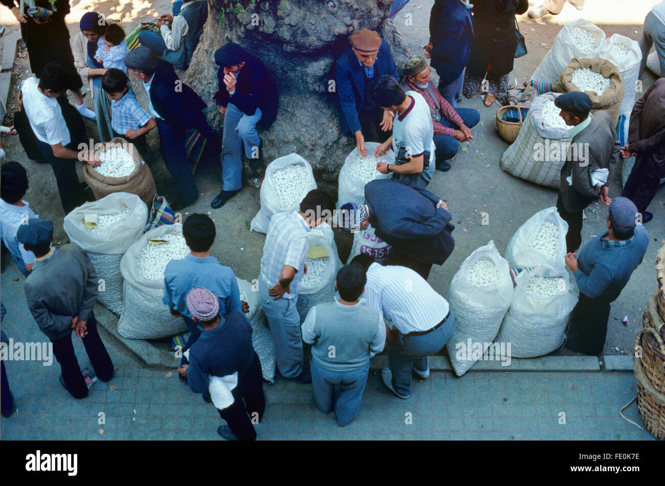 Bags of Silk Cocoons at the Silk Cocoon Market Held Annually in July ...