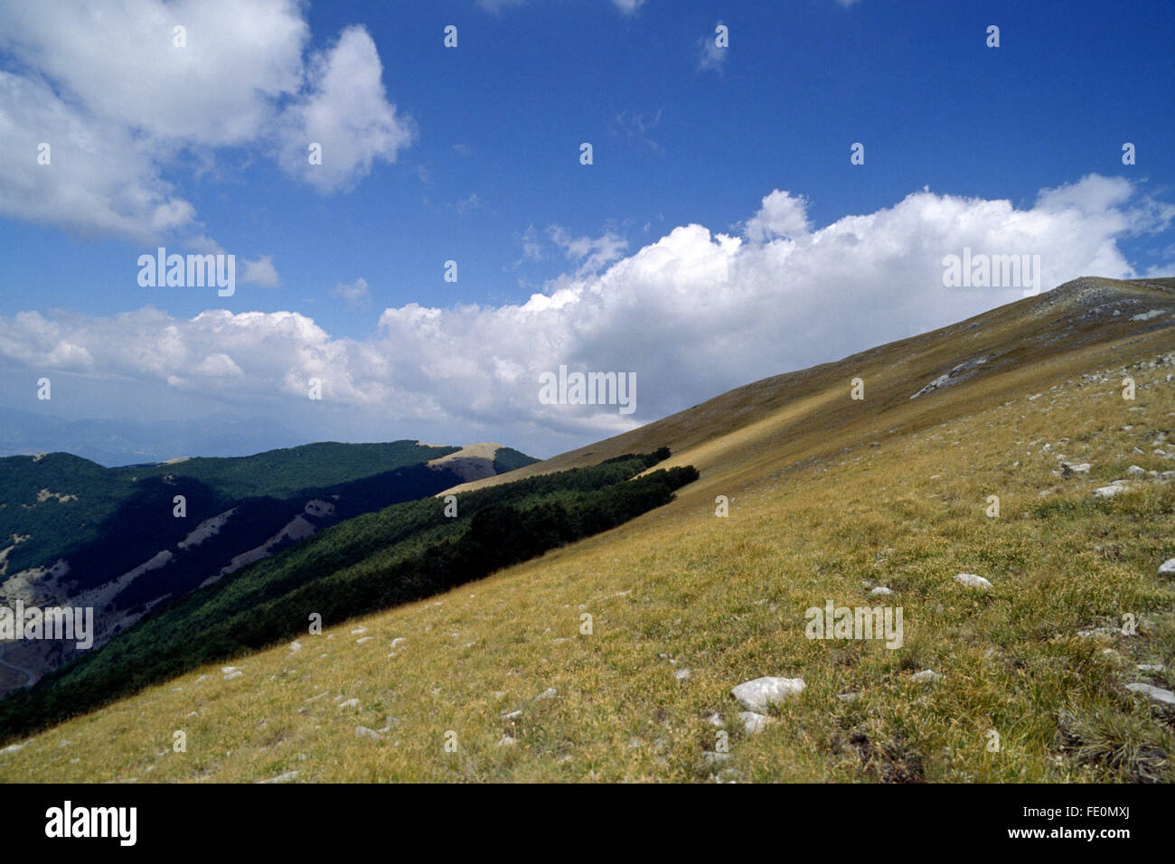 Italy, Basilicata, Pollino National Park, Mount Serra del Prete Stock ...