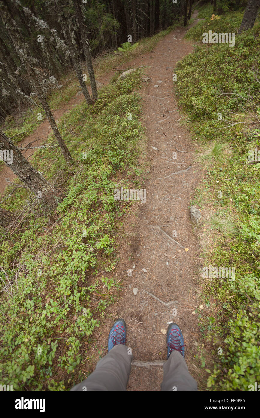 A single alpine path splits in two different directions. It's an ...