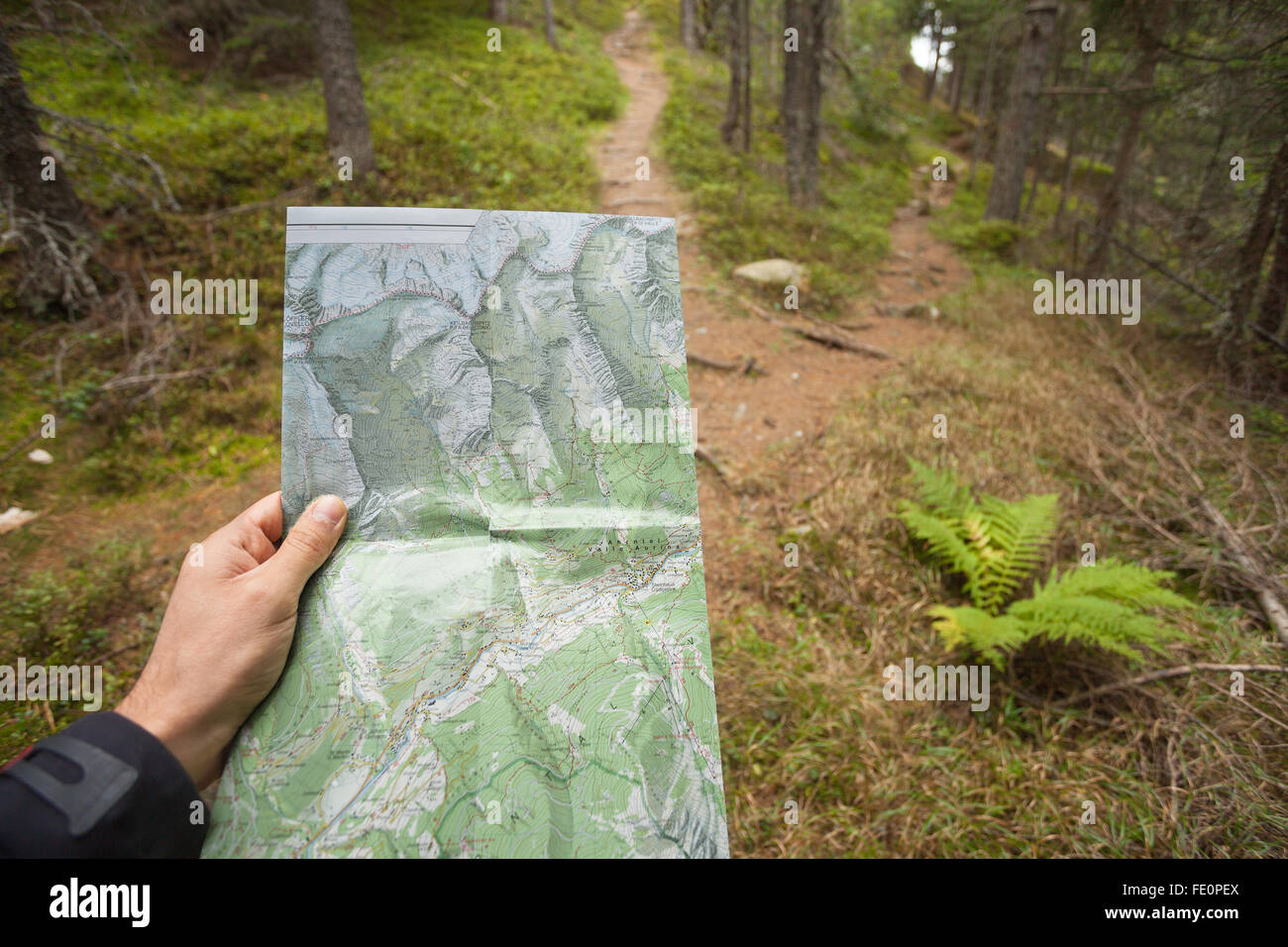 finding the right position in the forest with a map Stock Photo - Alamy