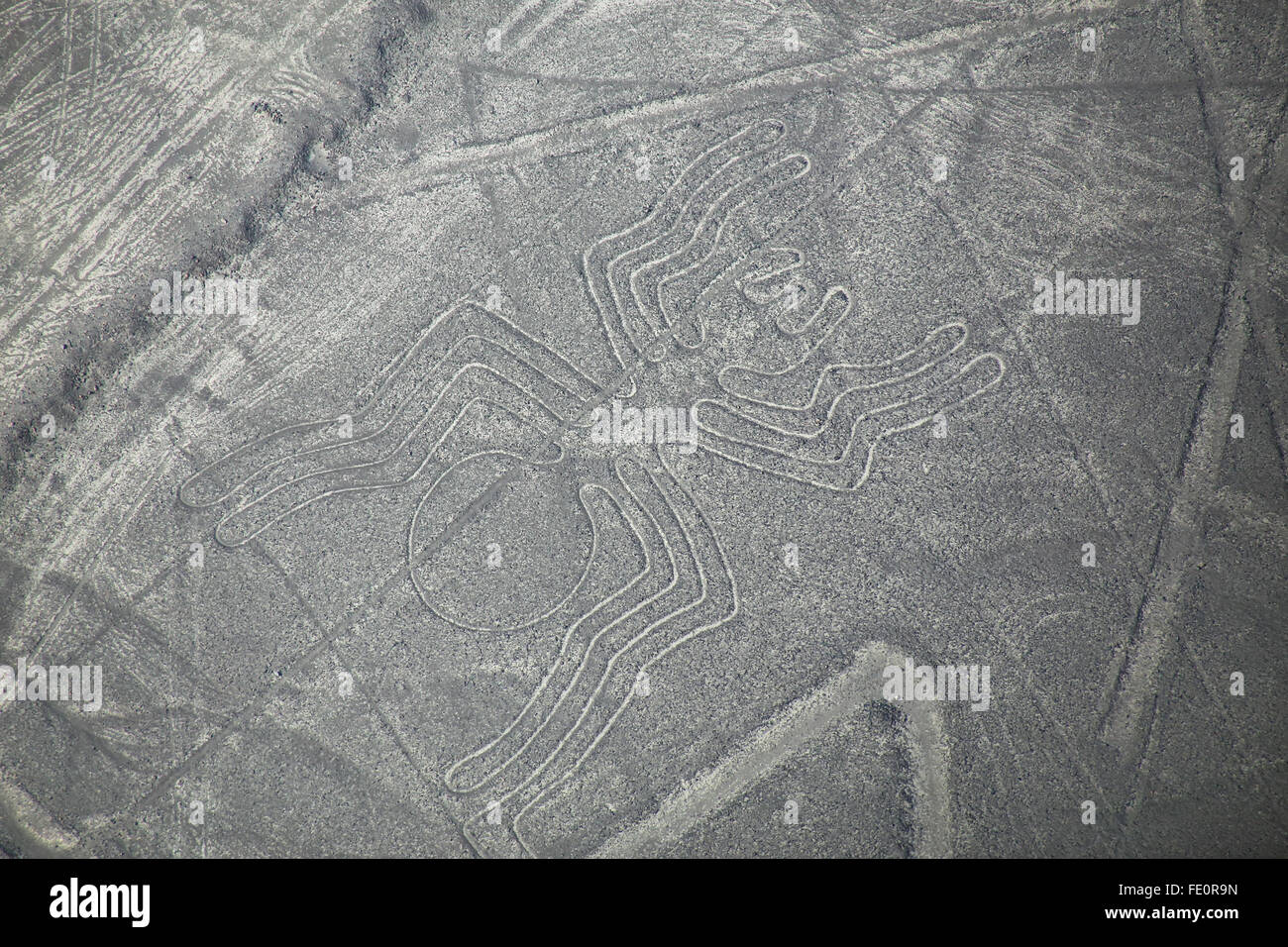 Aerial view of Nazca Lines - Spider geoglyph, Peru. The Lines were ...