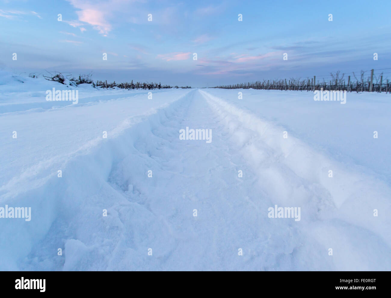 Inside a tire track in the snow Stock Photo - Alamy