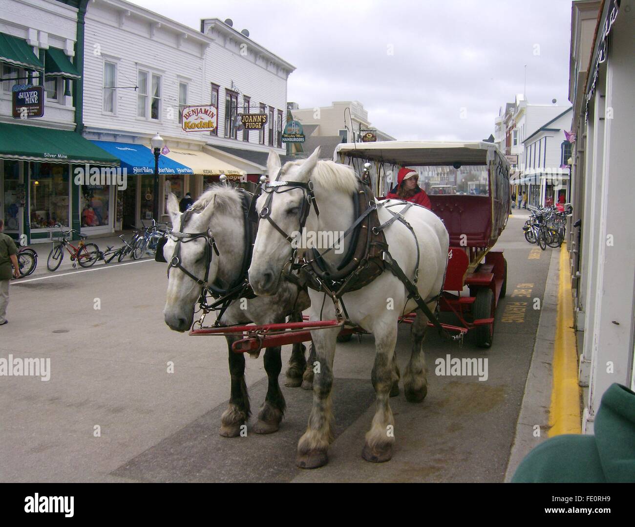 Chomping At The Bit High Resolution Stock Photography and Images - Alamy