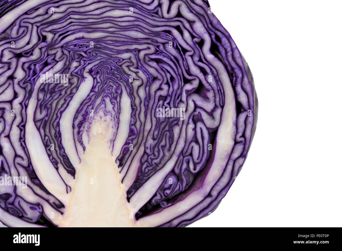 Red cabbages hi-res stock photography and images - Alamy