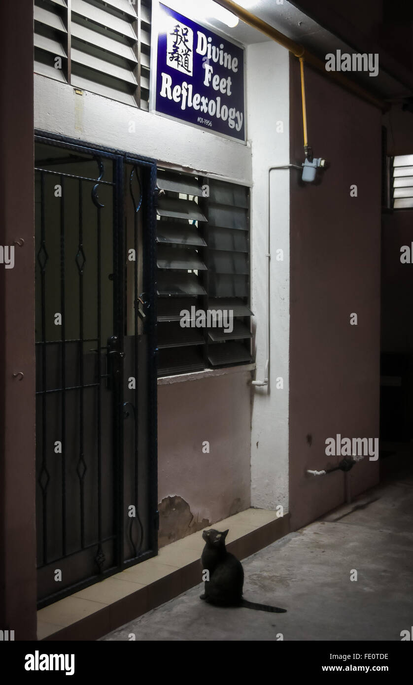 Reflexology business hi-res stock photography and images - Alamy