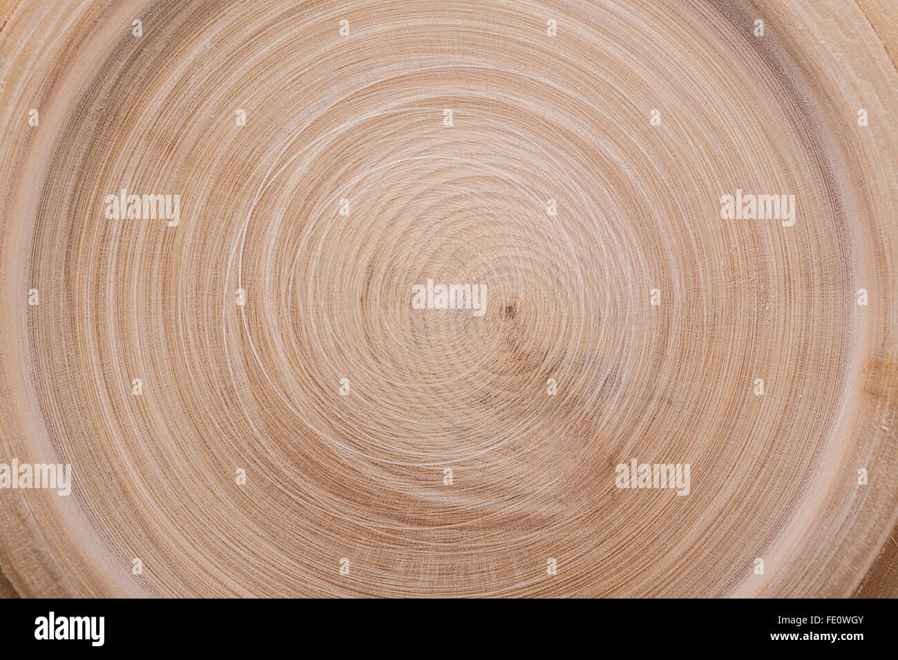 wood cut circles texture background Stock Photo - Alamy