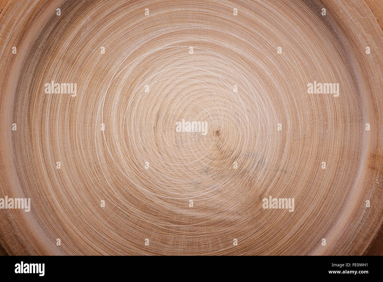 wood cut circles texture background Stock Photo - Alamy