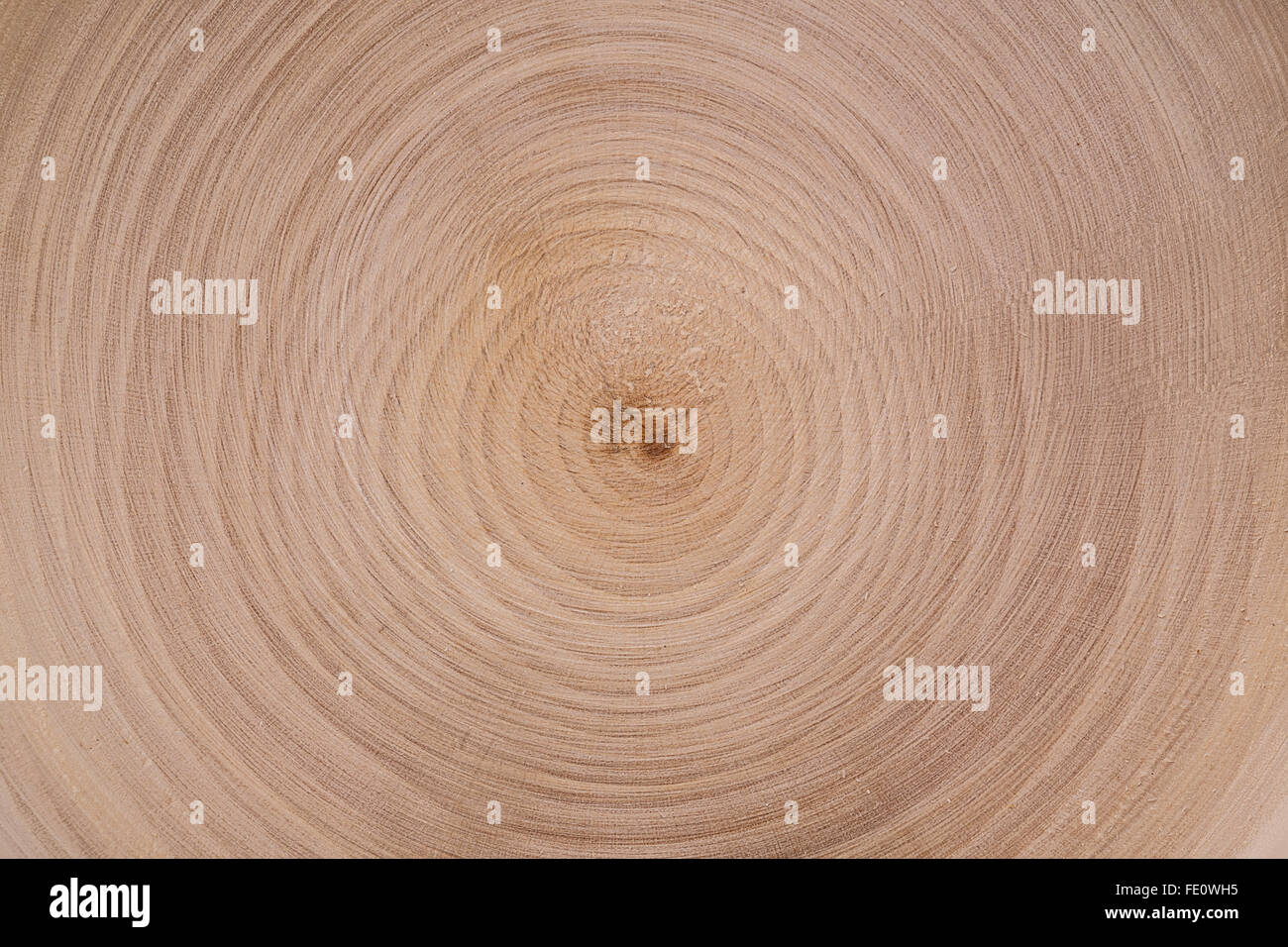 wood cut circles texture background Stock Photo - Alamy