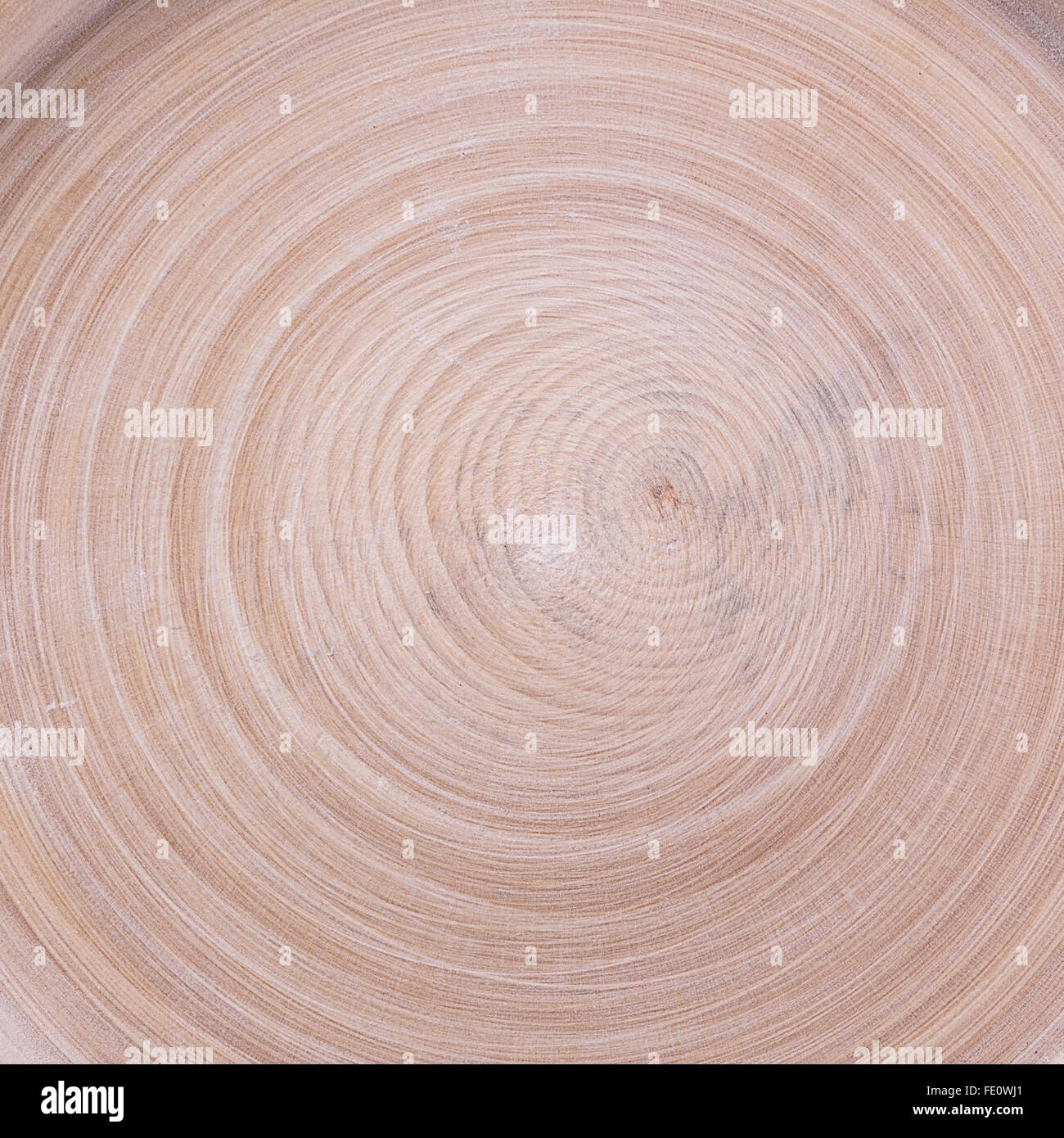 wood cut circles texture background Stock Photo - Alamy