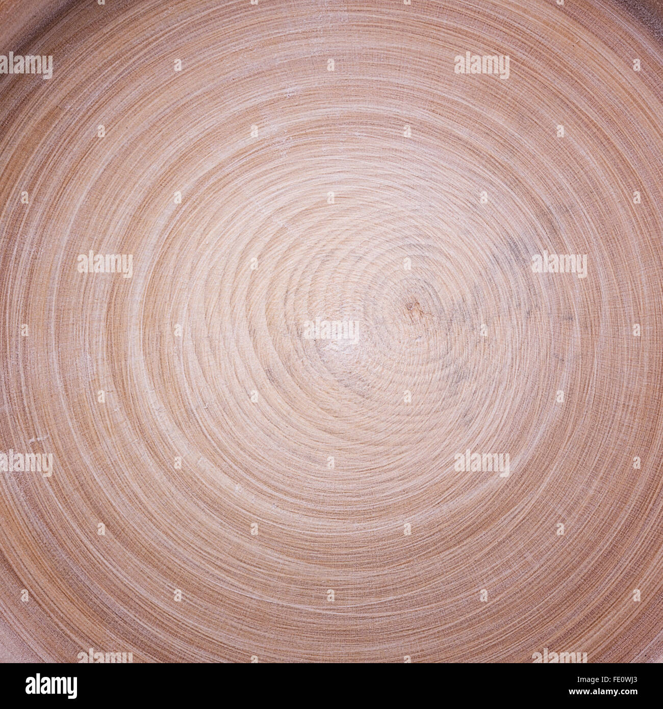 wood cut circles texture background Stock Photo - Alamy