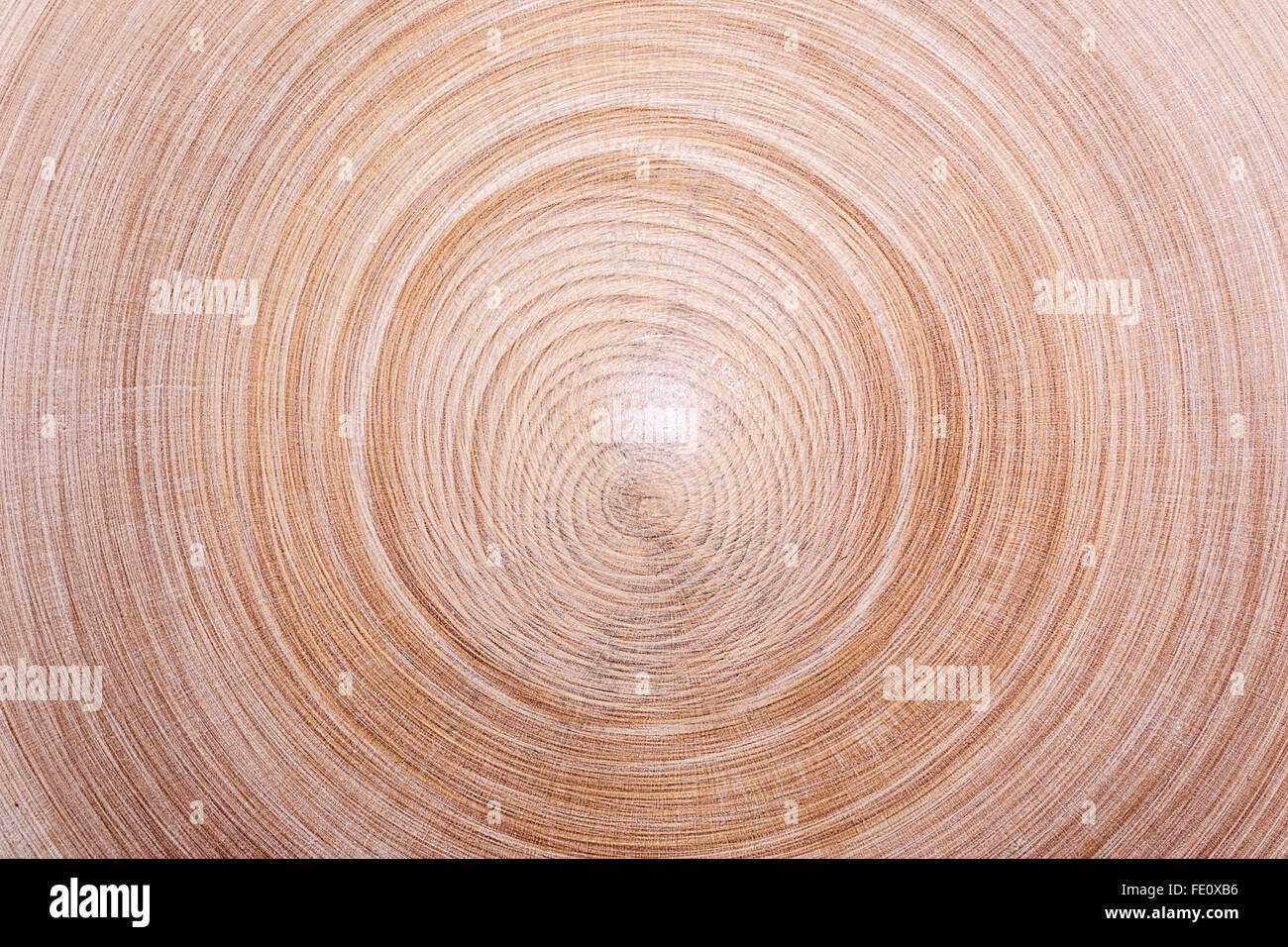 wood texture circles close-up background Stock Photo - Alamy