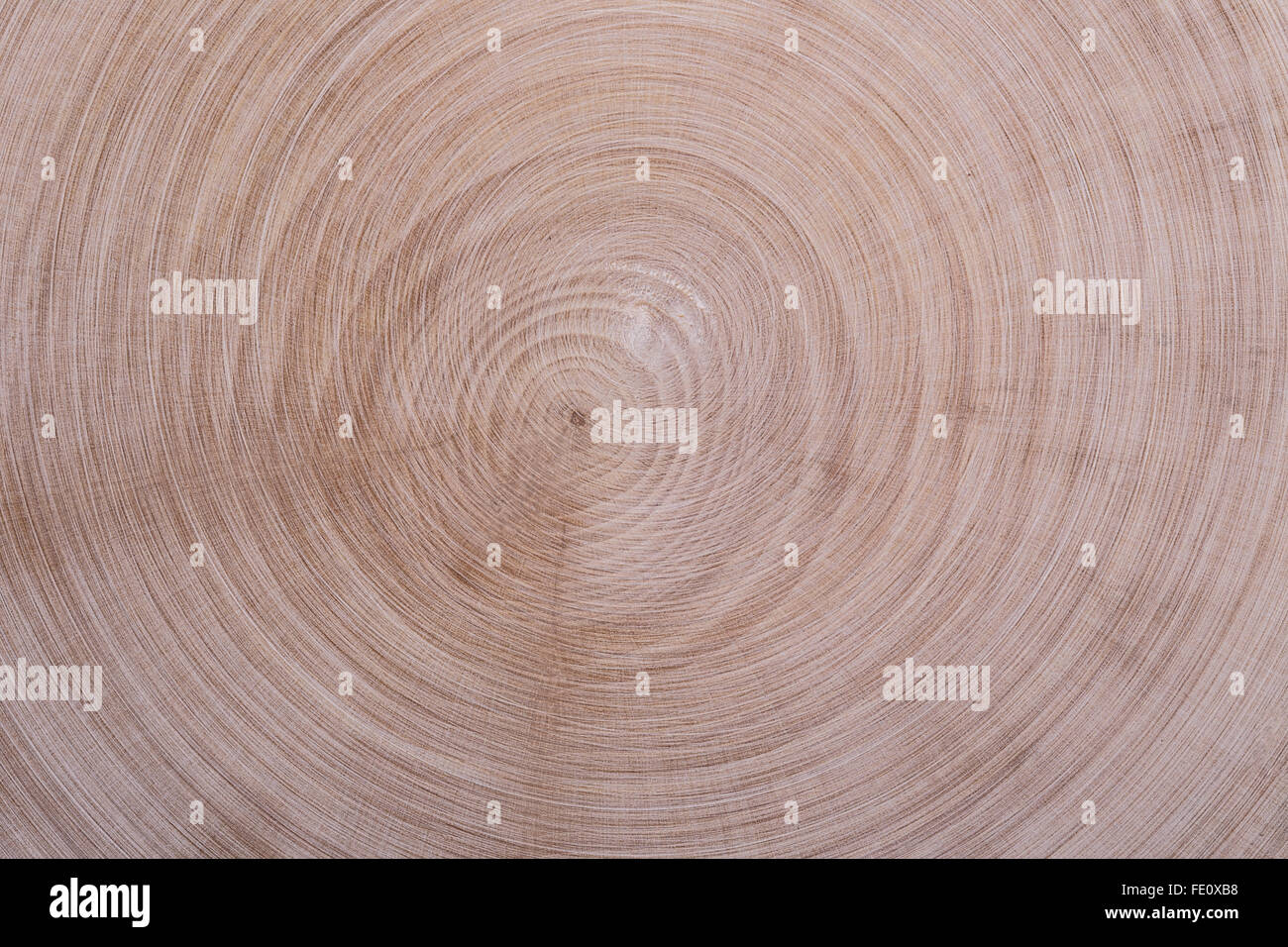 wood texture circles close-up background Stock Photo - Alamy