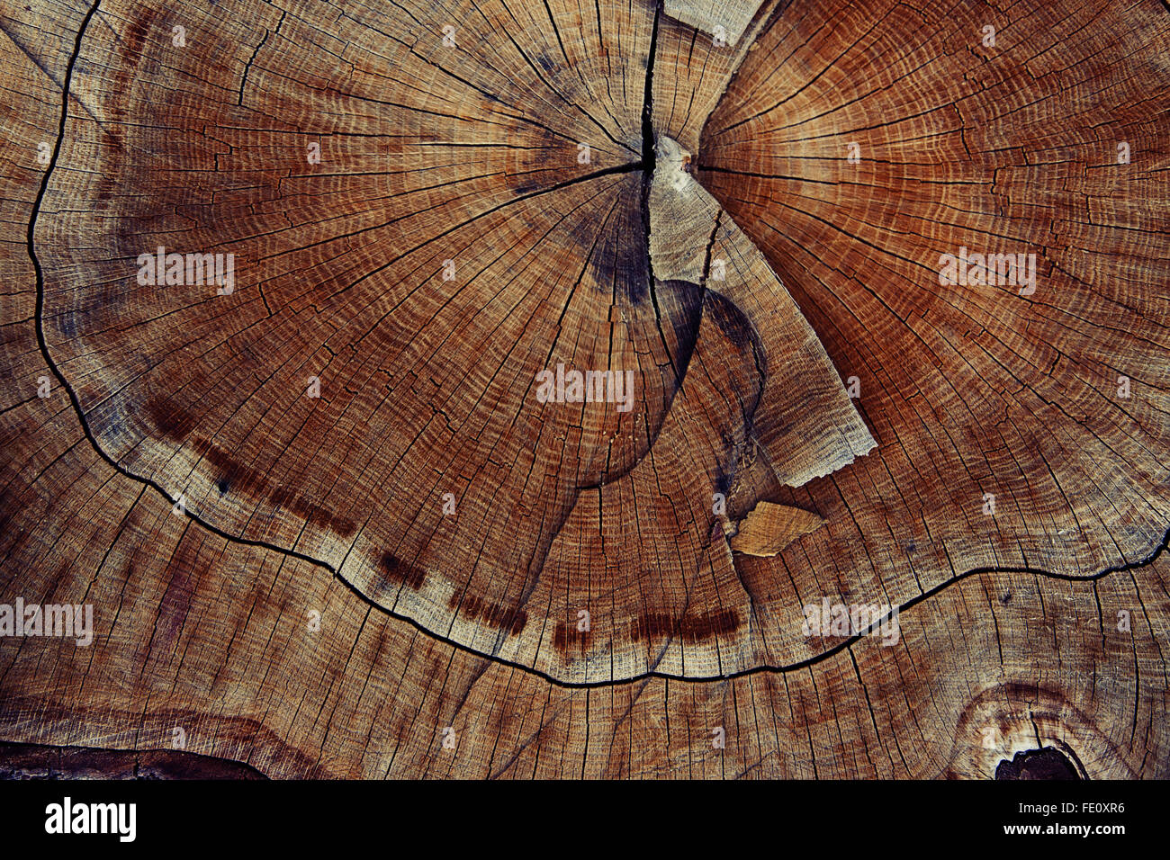 wood cut texture ring background Stock Photo - Alamy
