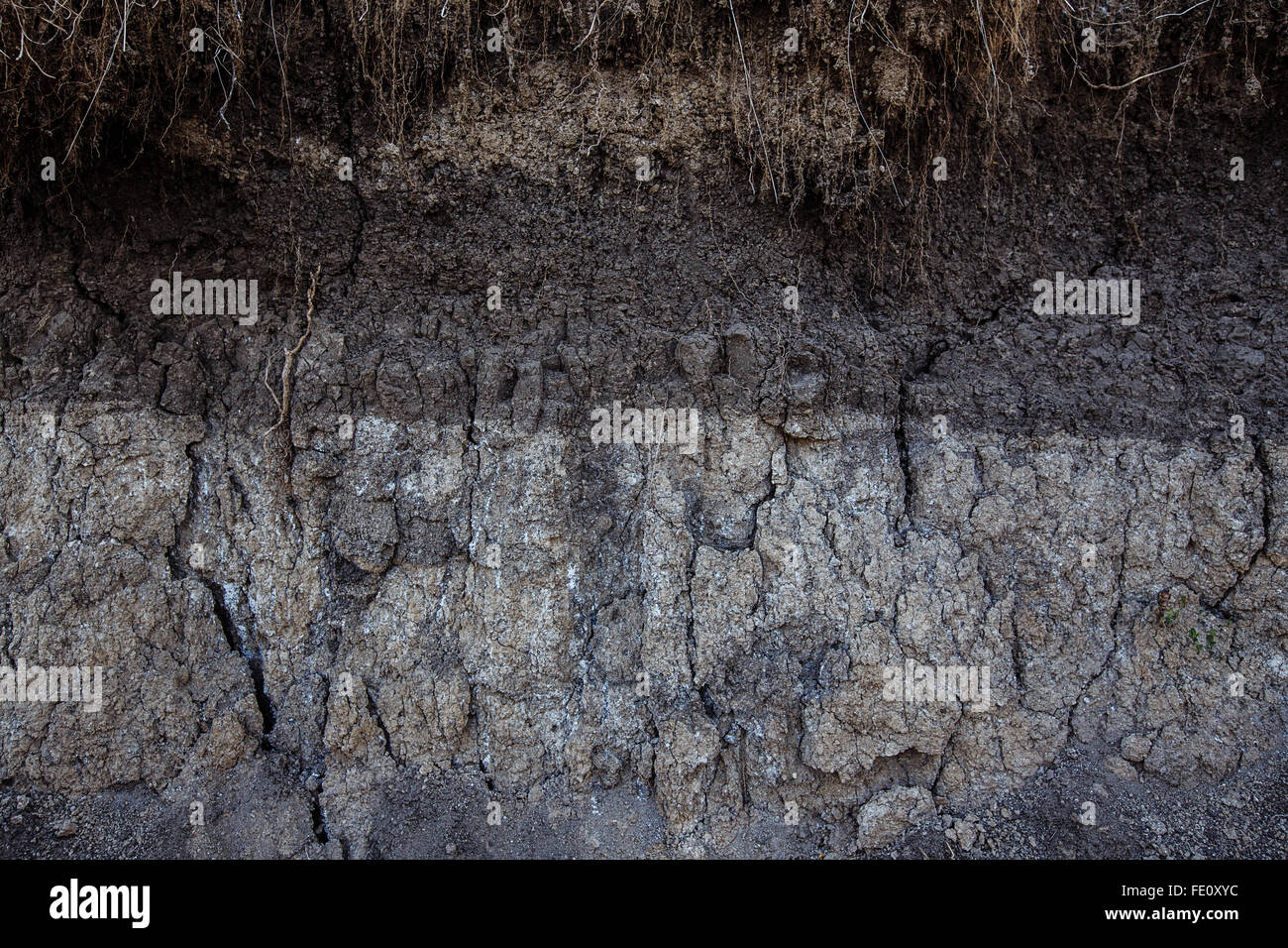 soil cut dry texture background Stock Photo - Alamy