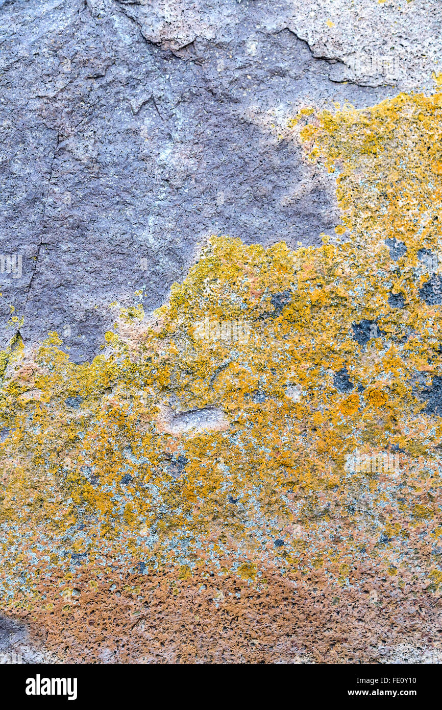 gray stone rock moss background Stock Photo - Alamy