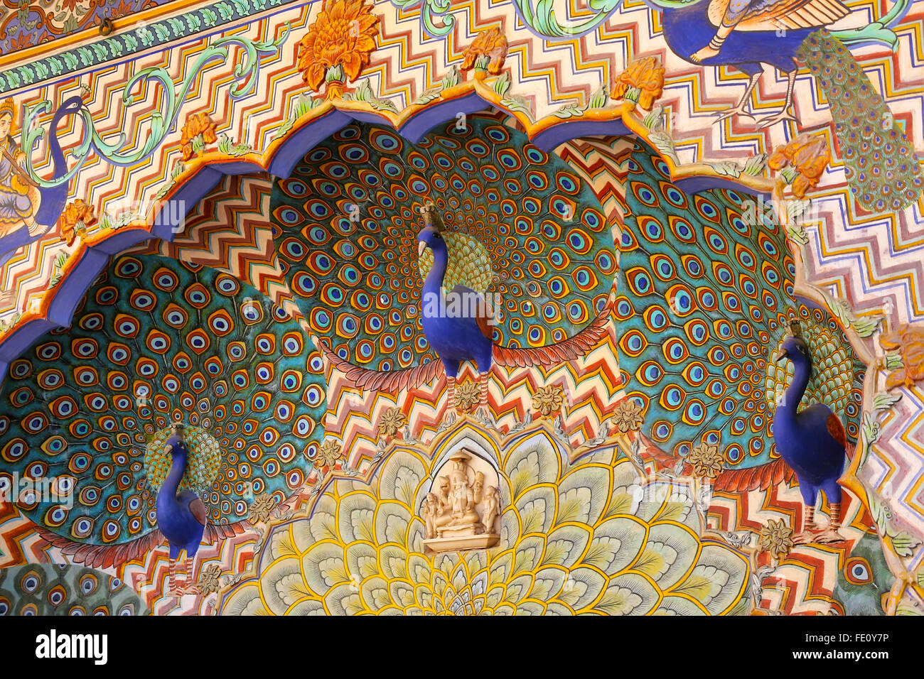 Peacock india rajasthan hi-res stock photography and images - Alamy