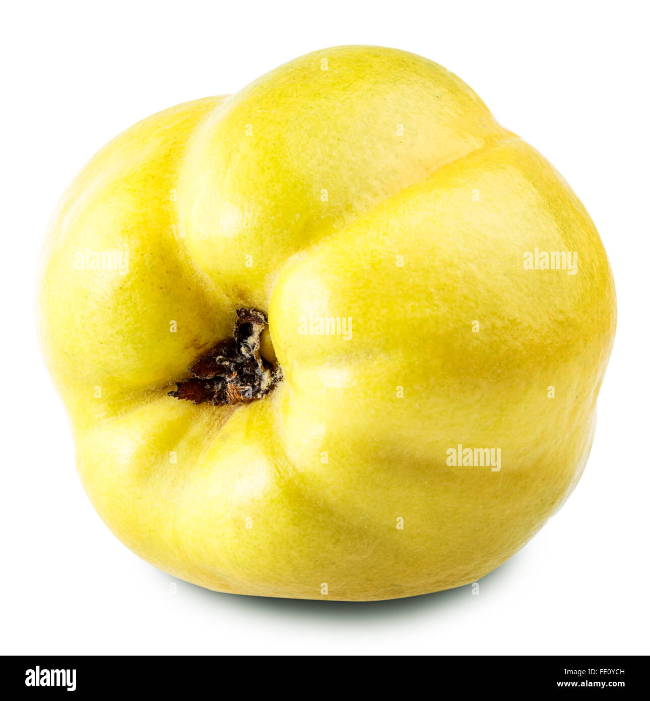 apple quince Isolated on white background Clipping Path Stock Photo - Alamy