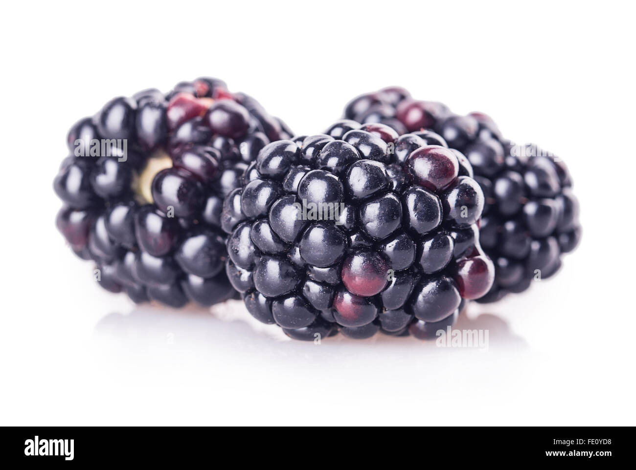 blackberries Isolated on white background Stock Photo - Alamy