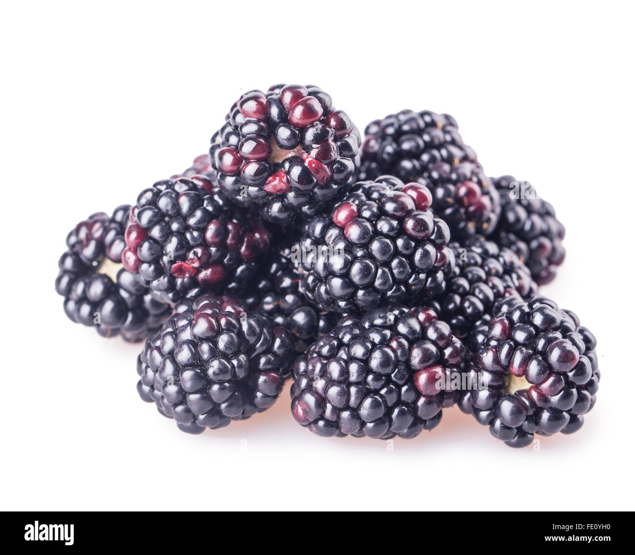 blackberries Isolated on white background Stock Photo - Alamy
