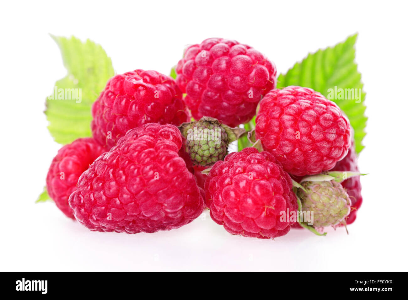raspberry Isolated on white background Stock Photo - Alamy