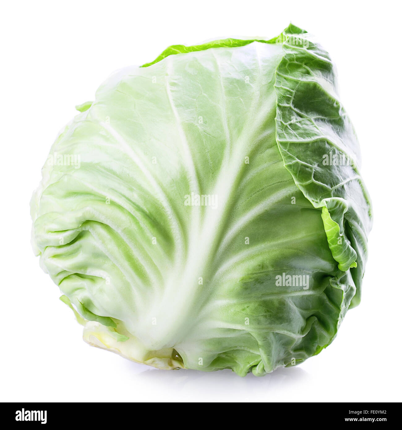 cabbage Isolated on white background Stock Photo - Alamy