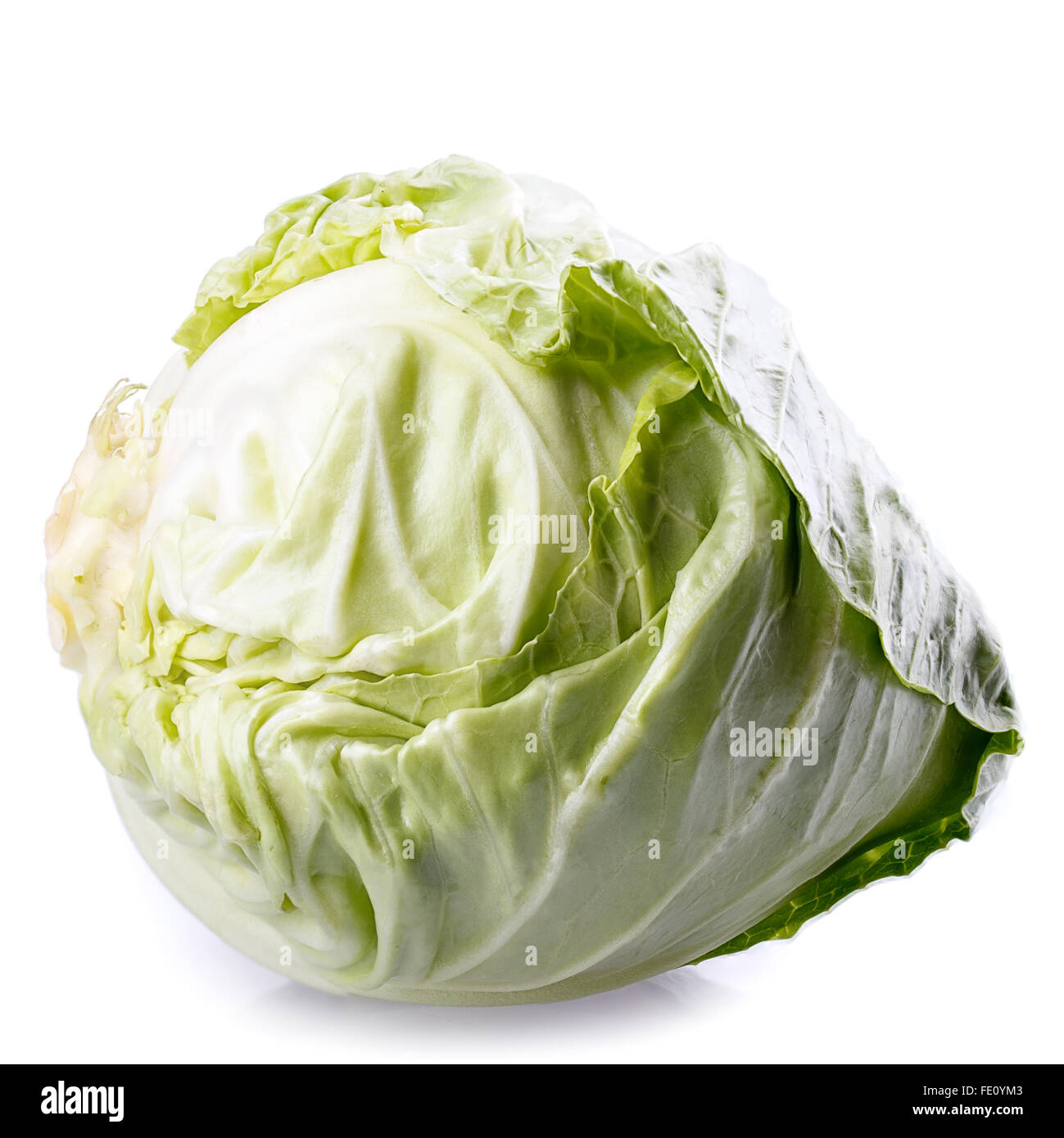 cabbage Isolated on white background Stock Photo - Alamy