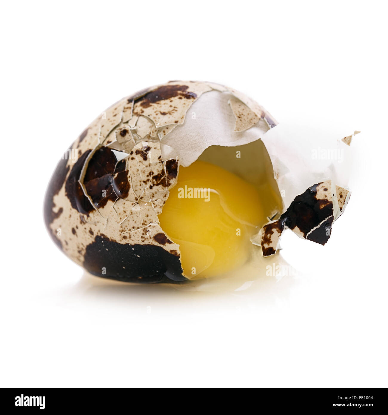 quail egg yolk protein Isolated on white background Stock Photo - Alamy