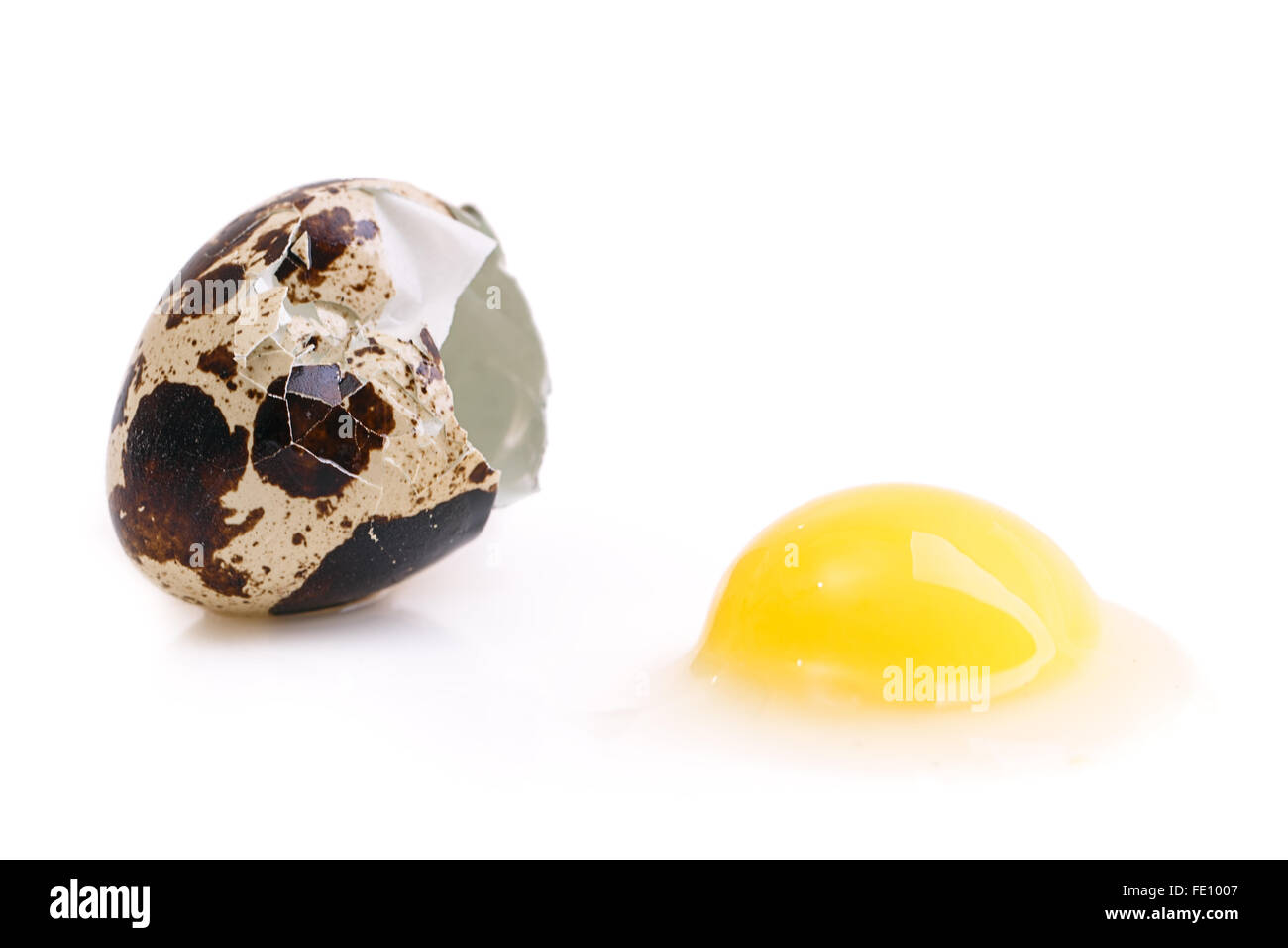 quail egg yolk protein Isolated on white background Stock Photo - Alamy