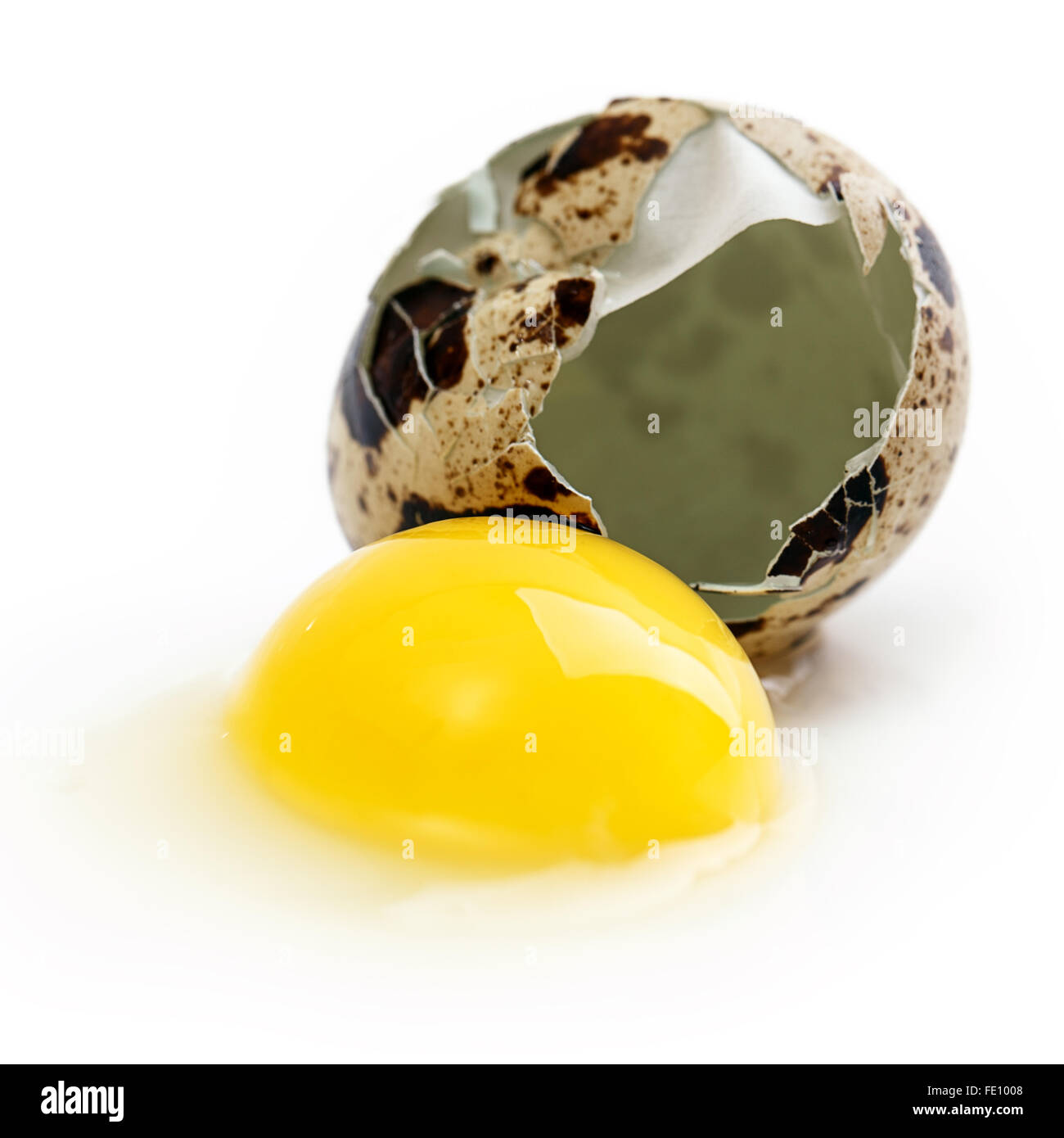 quail egg yolk protein Isolated on white background Stock Photo - Alamy