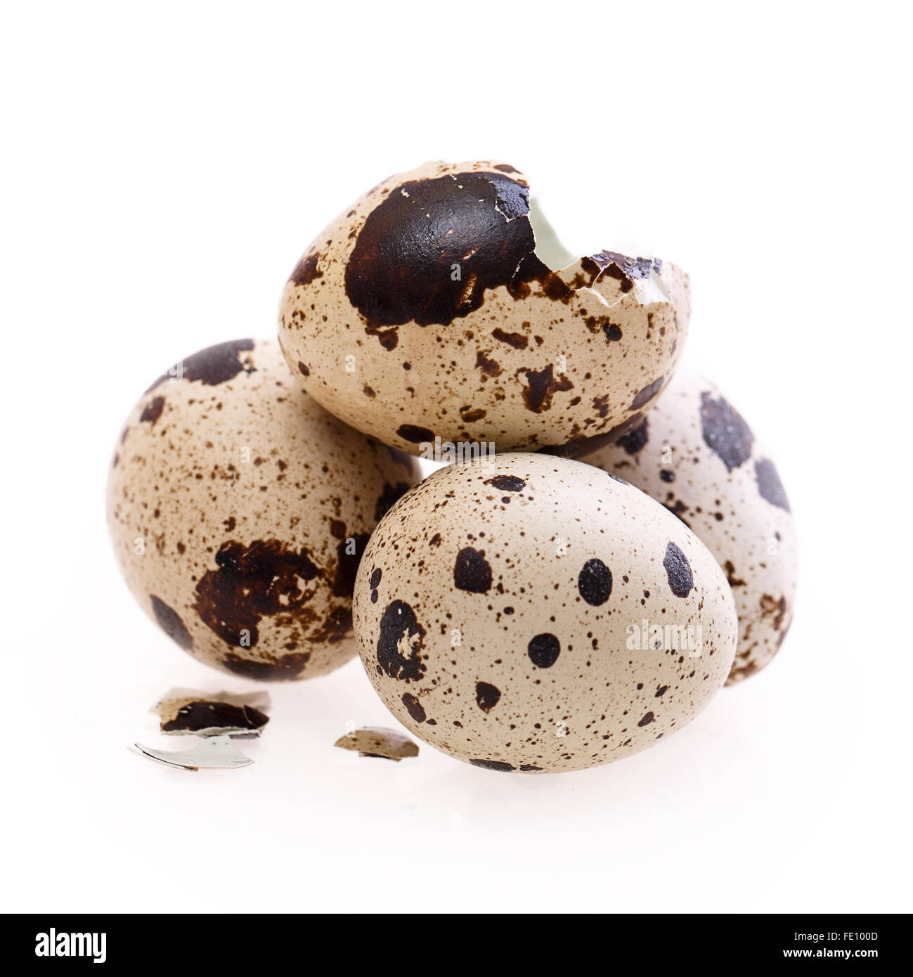 quail egg Isolated on white background Stock Photo - Alamy