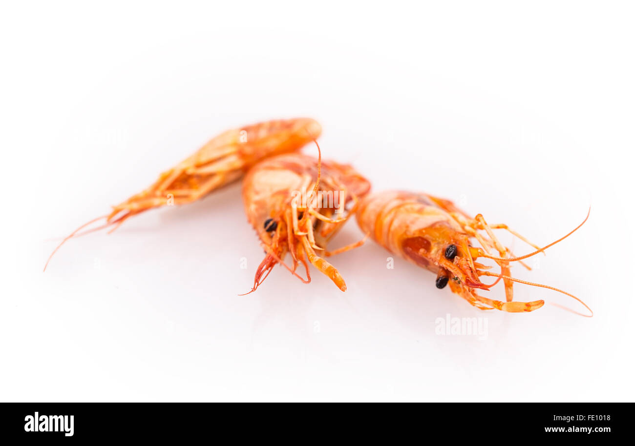 shrimp Isolated on white background Stock Photo - Alamy