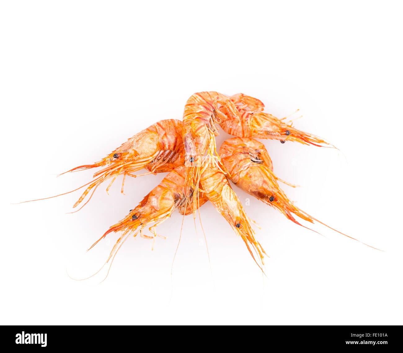 shrimp Isolated on white background Stock Photo - Alamy