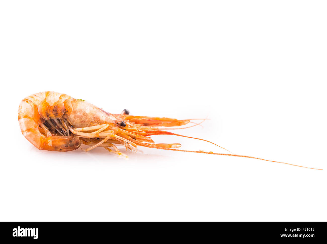 shrimp Isolated on white background Stock Photo - Alamy