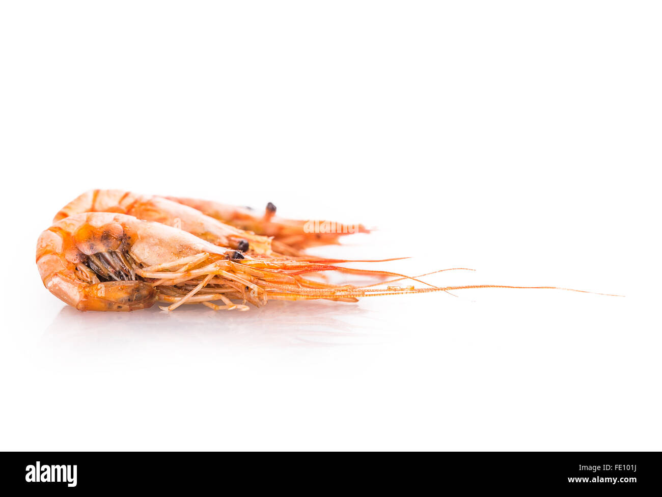 shrimp Isolated on white background Stock Photo - Alamy