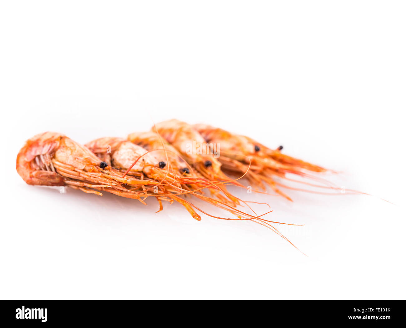 shrimp Isolated on white background Stock Photo - Alamy