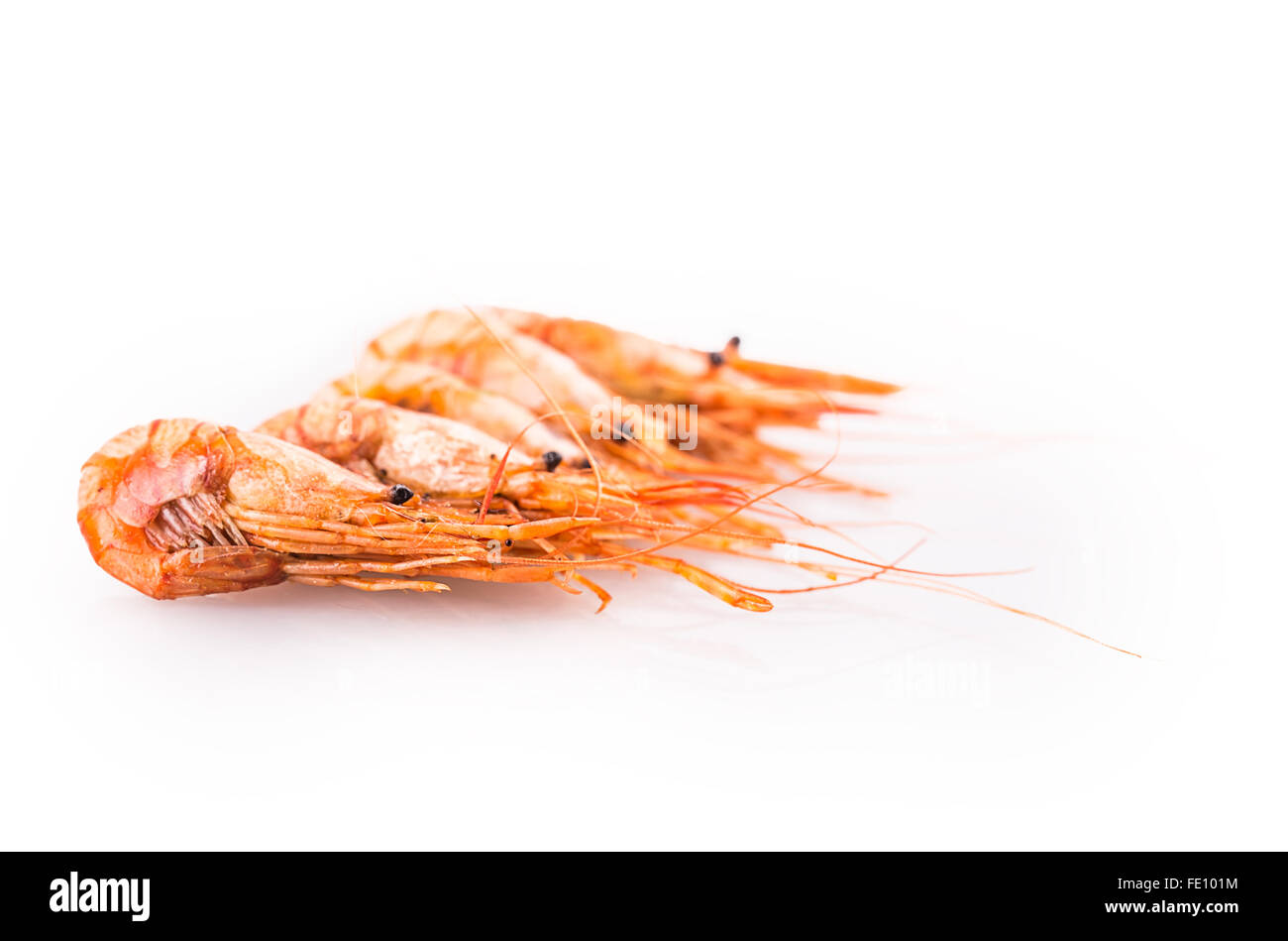 shrimp Isolated on white background Stock Photo - Alamy