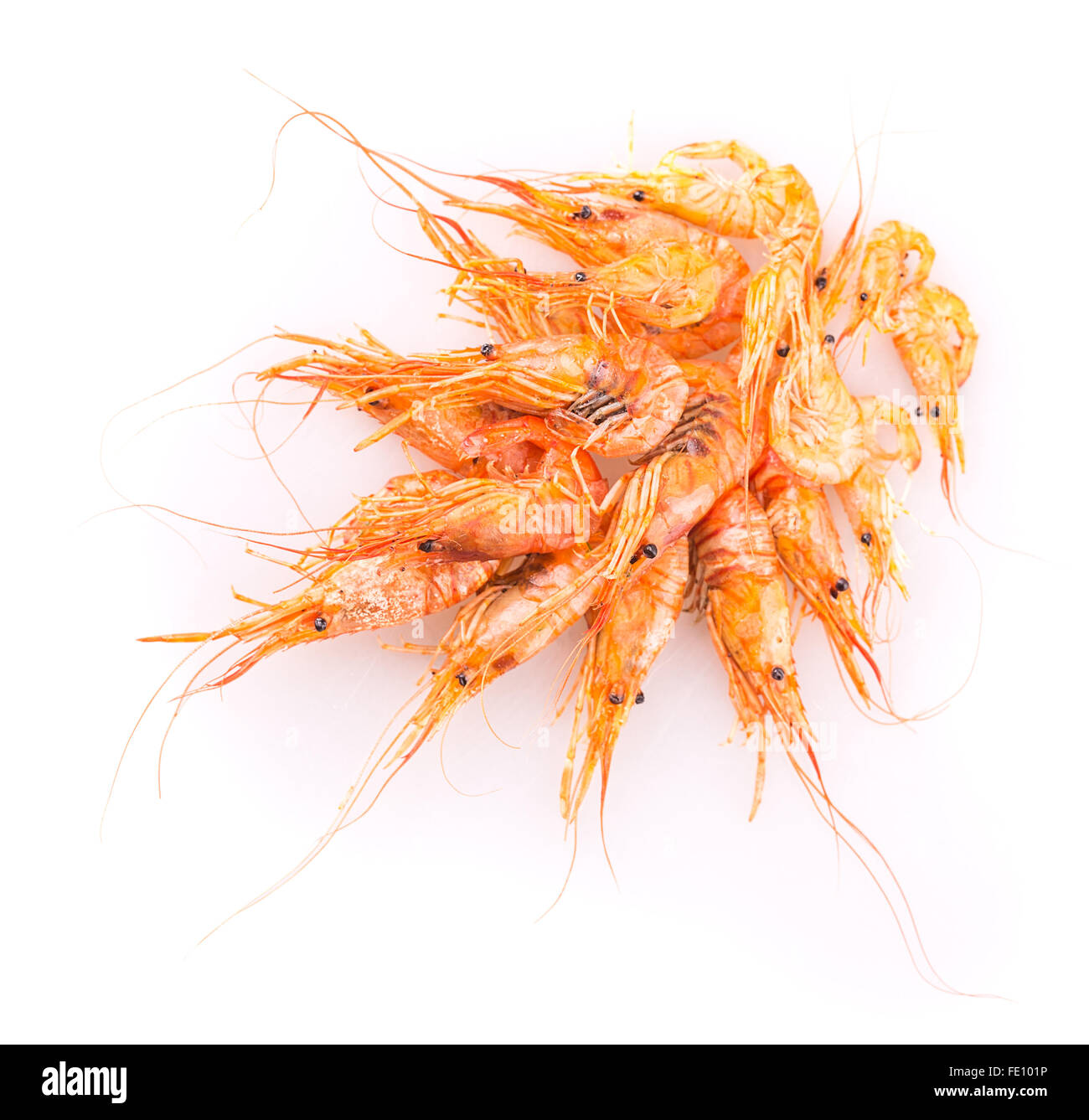 shrimp Isolated on white background Stock Photo - Alamy