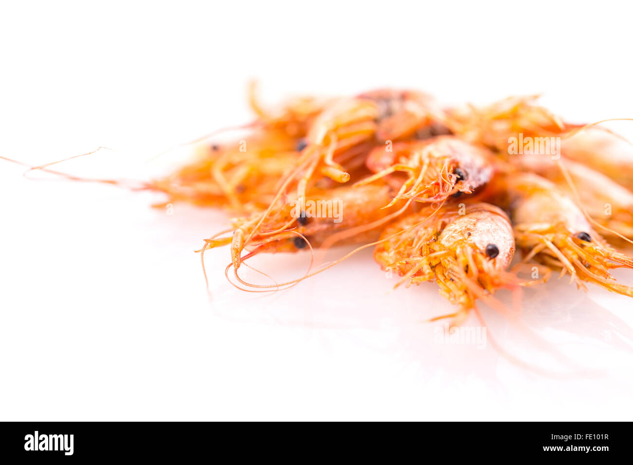 shrimp Isolated on white background Stock Photo - Alamy
