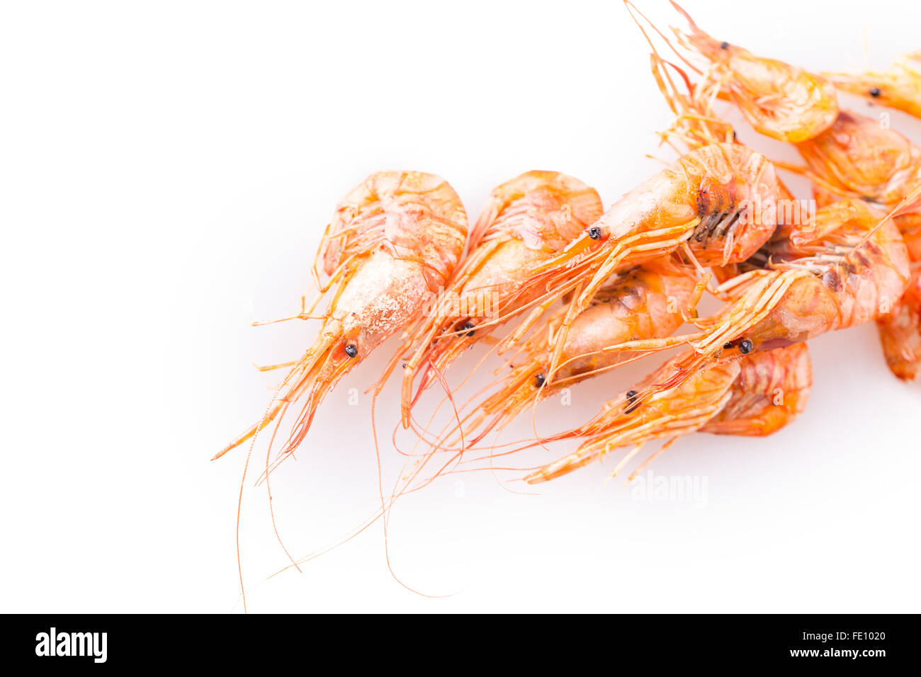 shrimp Isolated on white background Stock Photo - Alamy