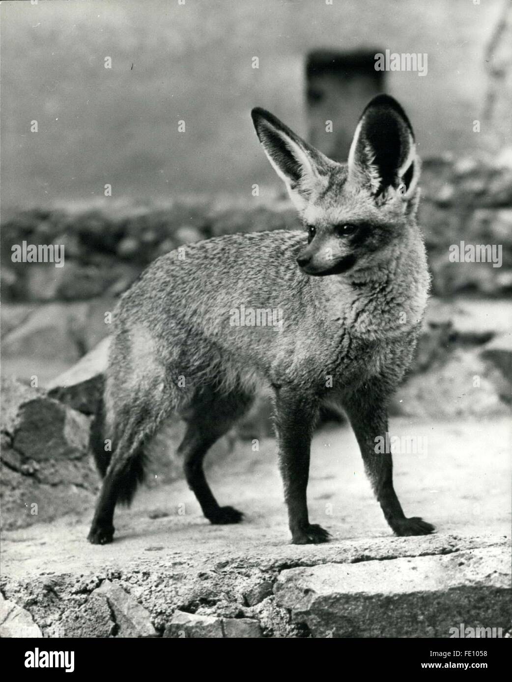 Well endowed hi-res stock photography and images - Alamy